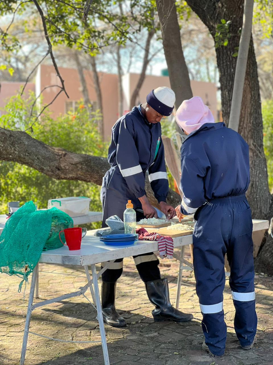 PROGRAMMES – RISING STARS GENERATIONS